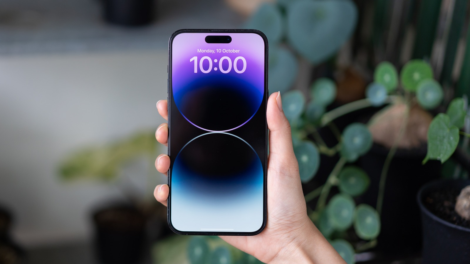 How to Remove Wallpapers from Your iPhone - Software Acquisition