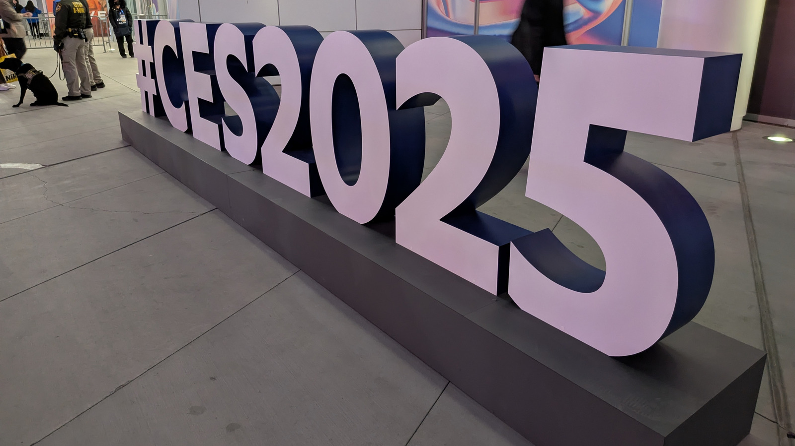 Day 2 of CES 2025: Reaching the Midpoint! - Software Acquisition